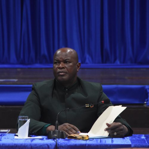 Brunswijk welkom bij herdenking Saamaka Daka - TEMPO Networks