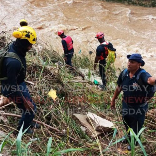Relative of Lopinot drowning victim tells rescue volunteers: Take your ...