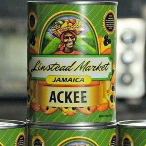 Spur Tree Spices cements foothold in canned ackee export market Loop ...
