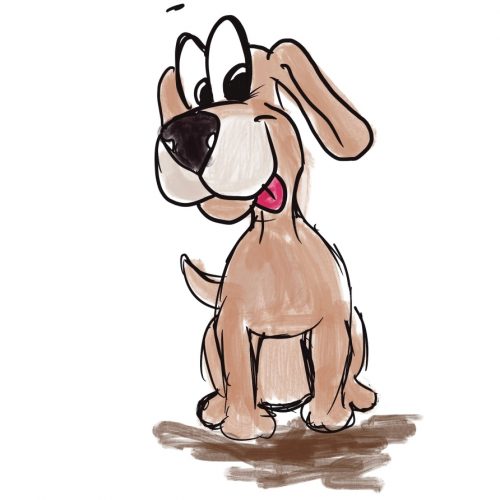 Dos buki nobo pa Festival di Buki na Biblioteca - TEMPO Networks