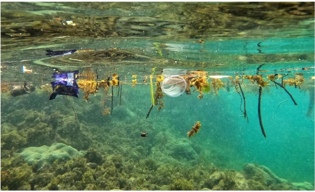 Our Planet Versus Plastic Bags–A Tale of Two Cities - TEMPO Networks