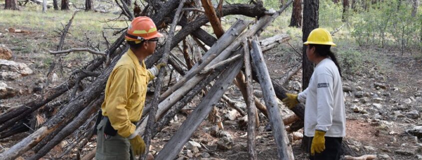 How Indigenous Land Management Practices Are a Blueprint for Climate ...